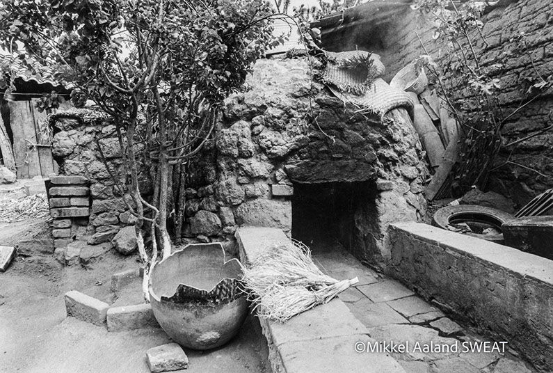 Origin of the Mayan Temescal